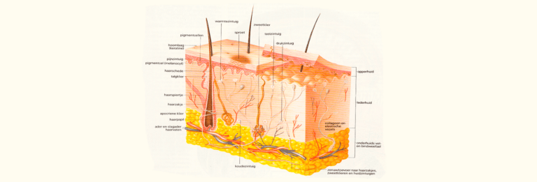 Over de huid - Your Beauty